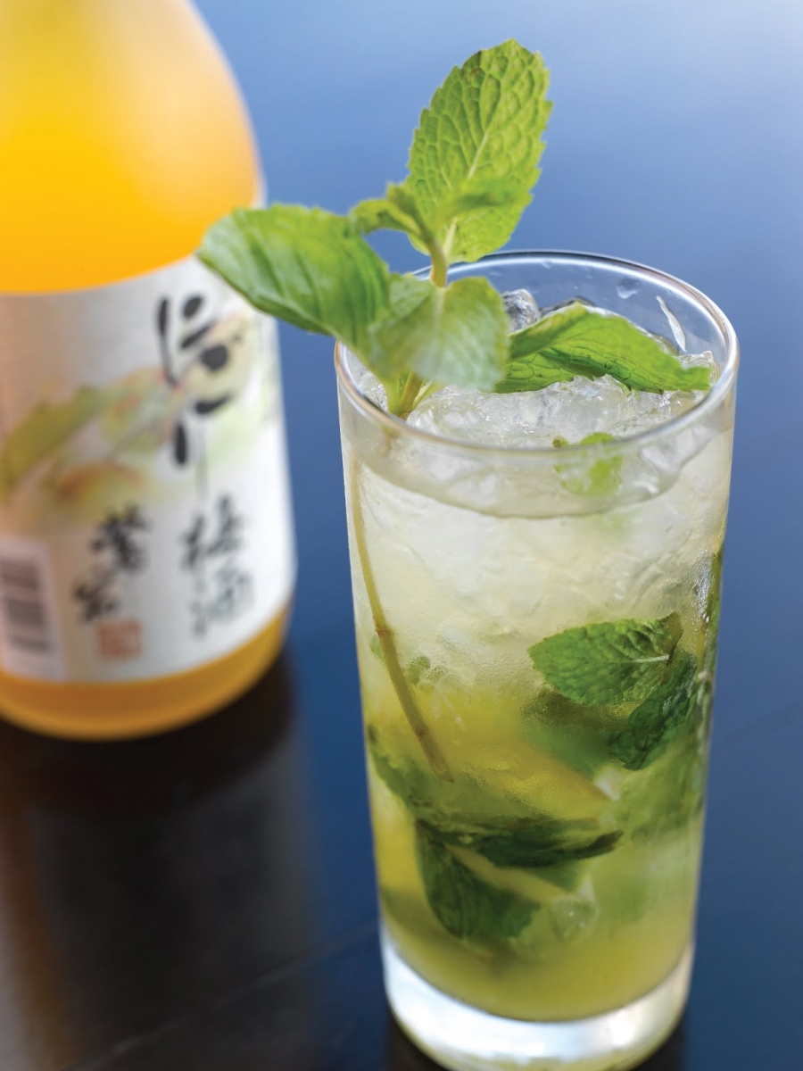 Japanese Liquor Umeshu. What Is It? | POGOGI Japanese Food